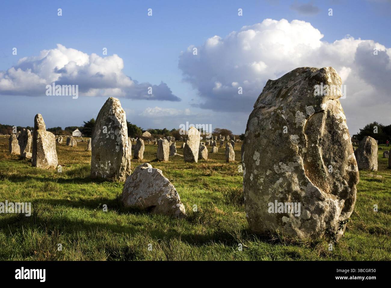 Megaliths, Carnac, Morbihan, Brittany, Karnag, Menhir, Menhirs ...