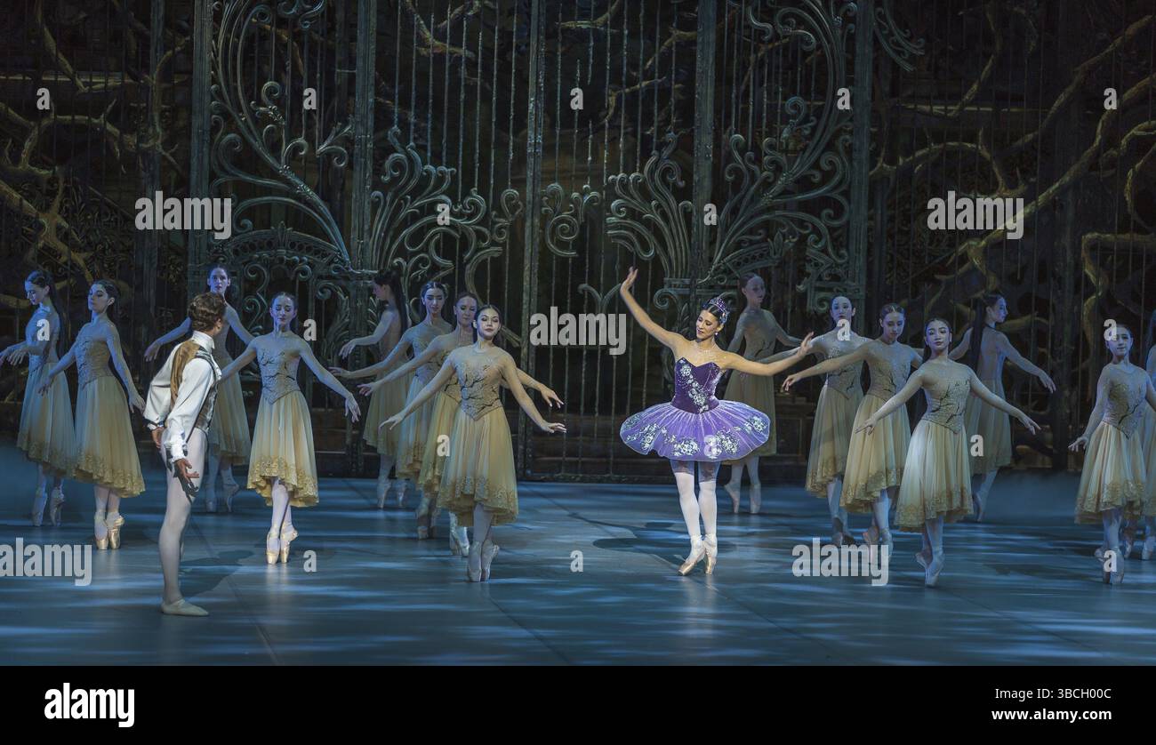 Sleeping Beauty (Berlin State Ballet Stock Photo - Alamy