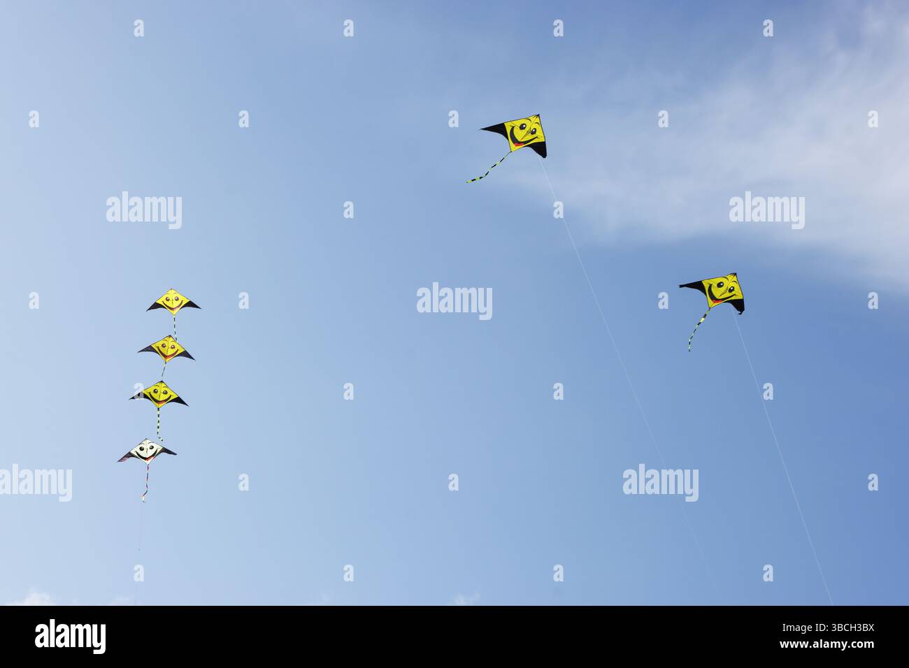 Kites flying on the Foro Italico seafront in Palermo harbour, Sicily ...