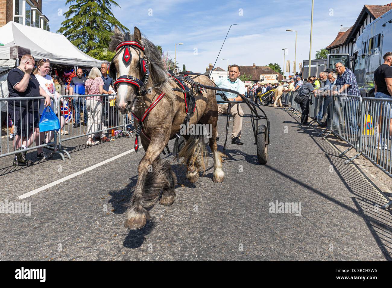 Running Horses at Wickham Horse Fair Stock Photo - Alamy