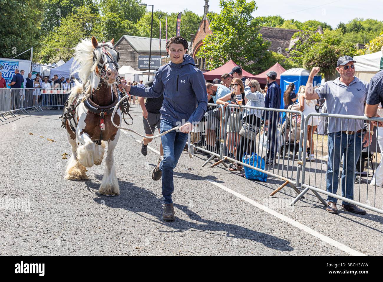 Running Horses at Wickham Horse Fair Stock Photo - Alamy