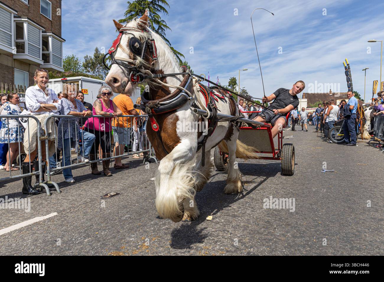 Running Horses at Wickham Horse Fair Stock Photo - Alamy