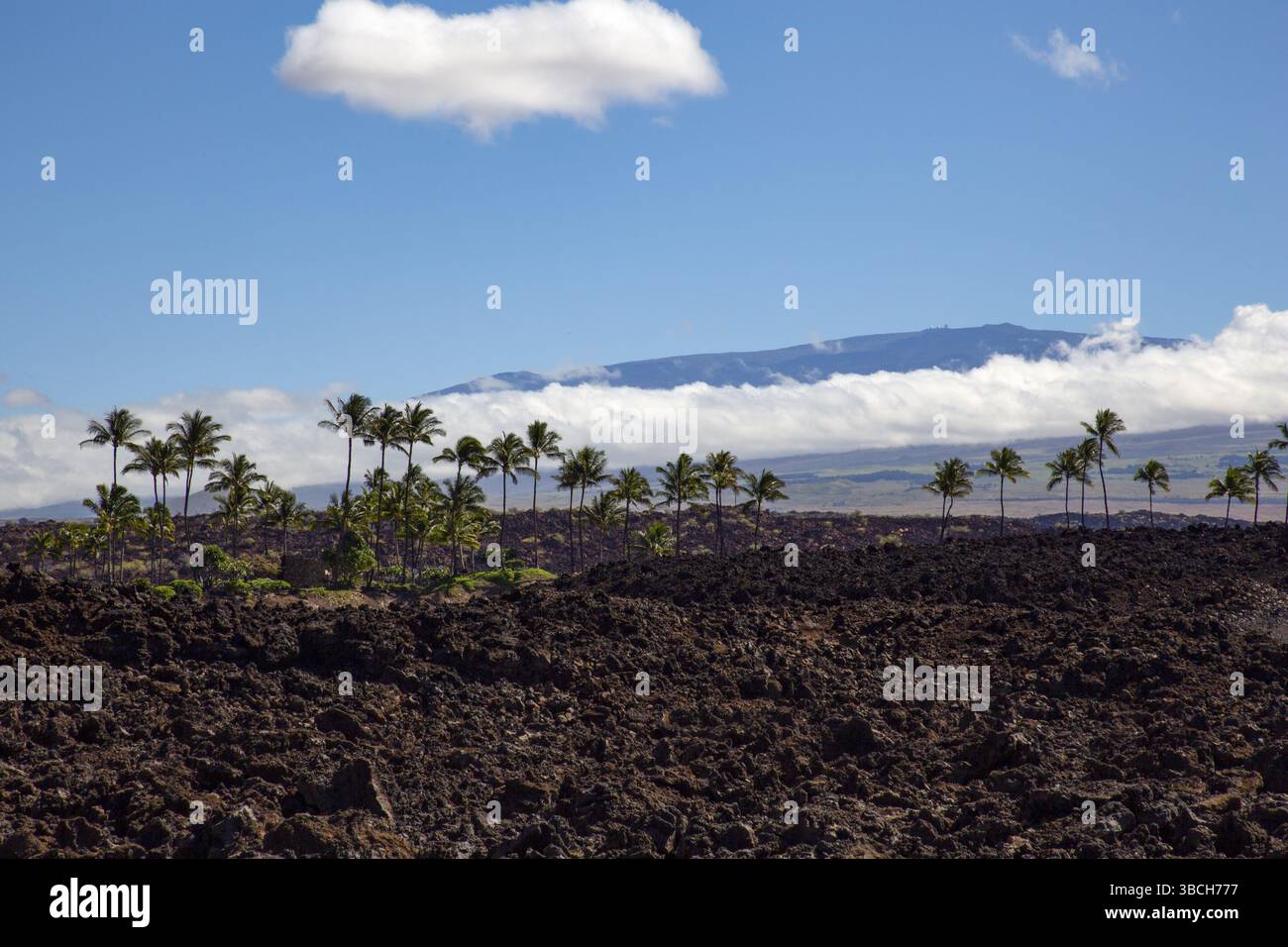 Observatory on Mauna Kea with extinct lava field and palm trees Stock ...