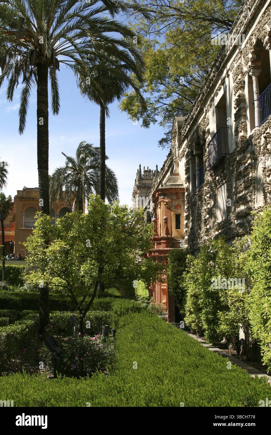 Royal garden of Alcazar Palace with palm trees against a blue sky Stock ...