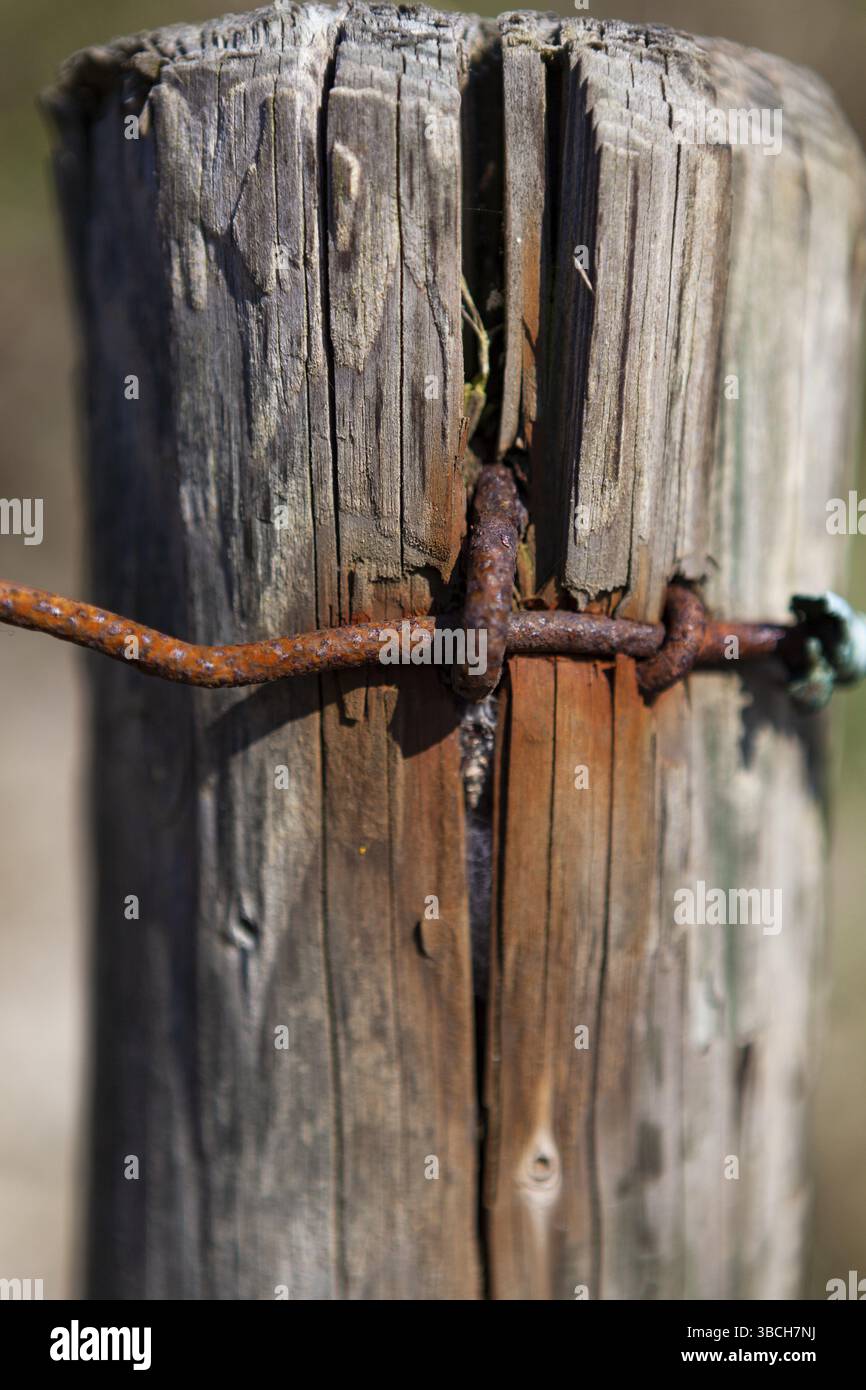 The photo shows a weathered old wooden fence post Stock Photo - Alamy