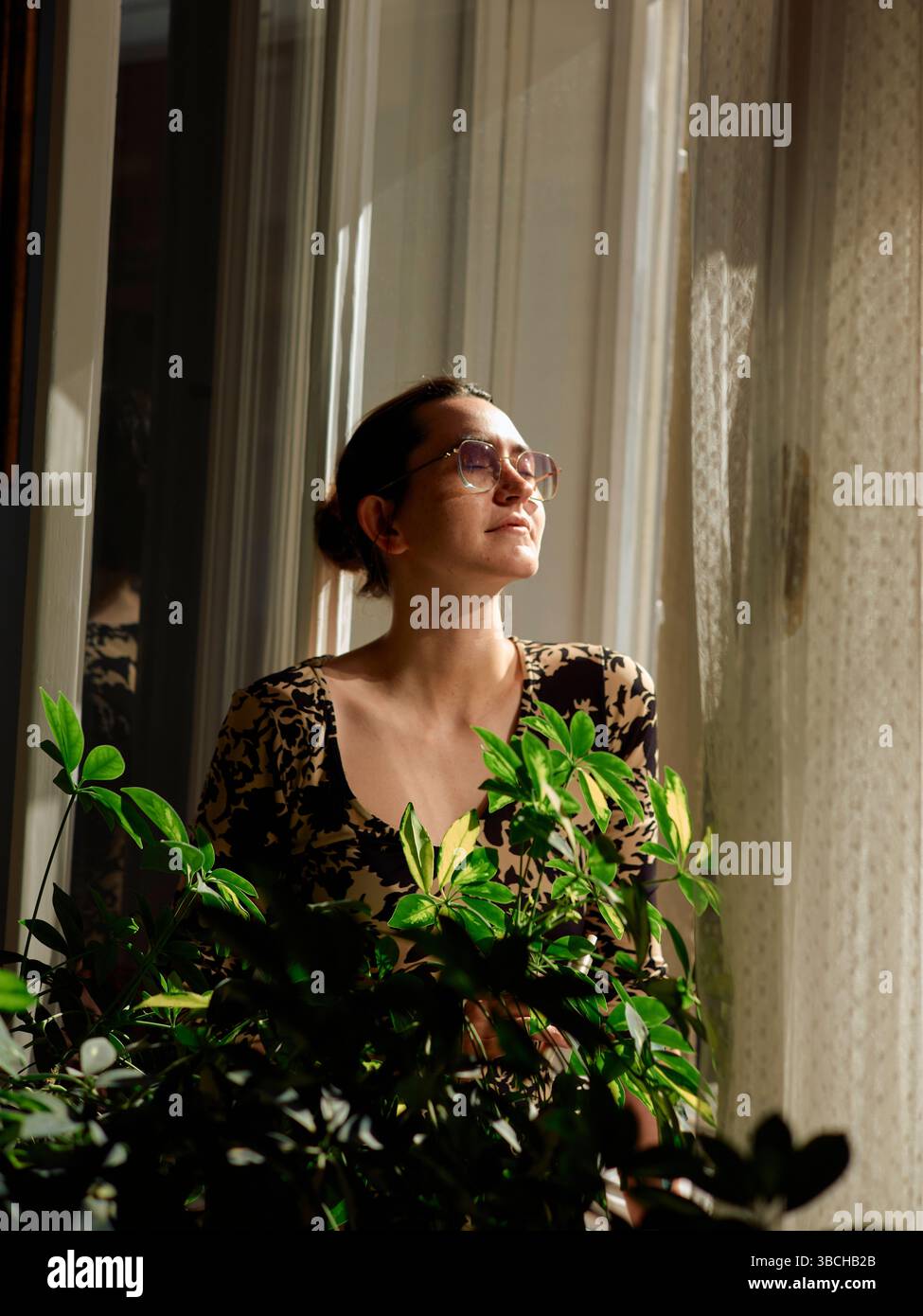 Woman sunbathing window in hi-res stock photography and images - Alamy