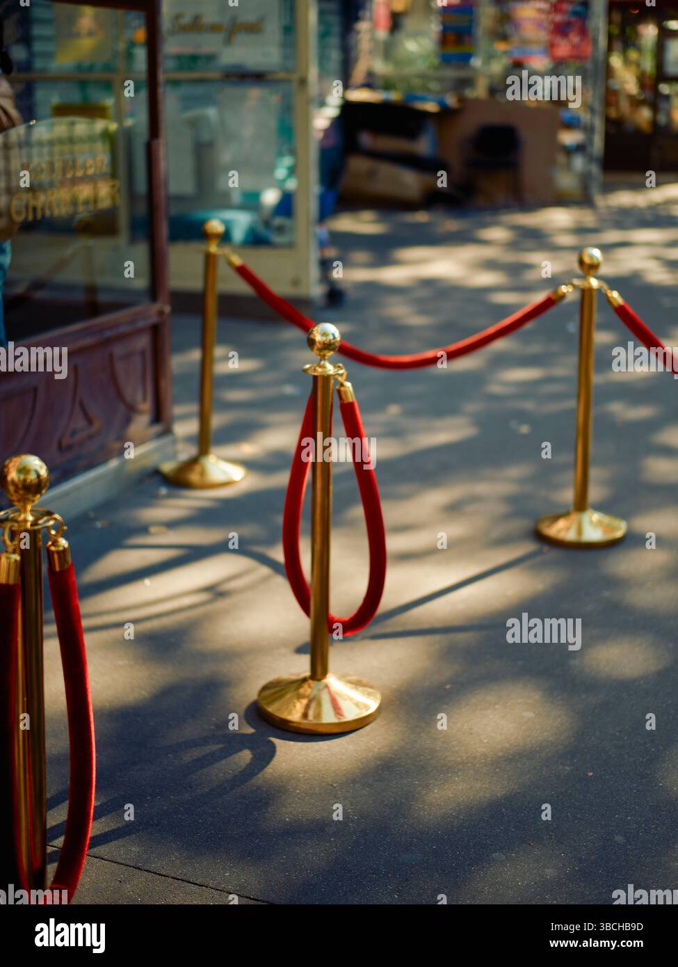 Red velvet ropes and gold stanchions create an elegant barrier on a ...