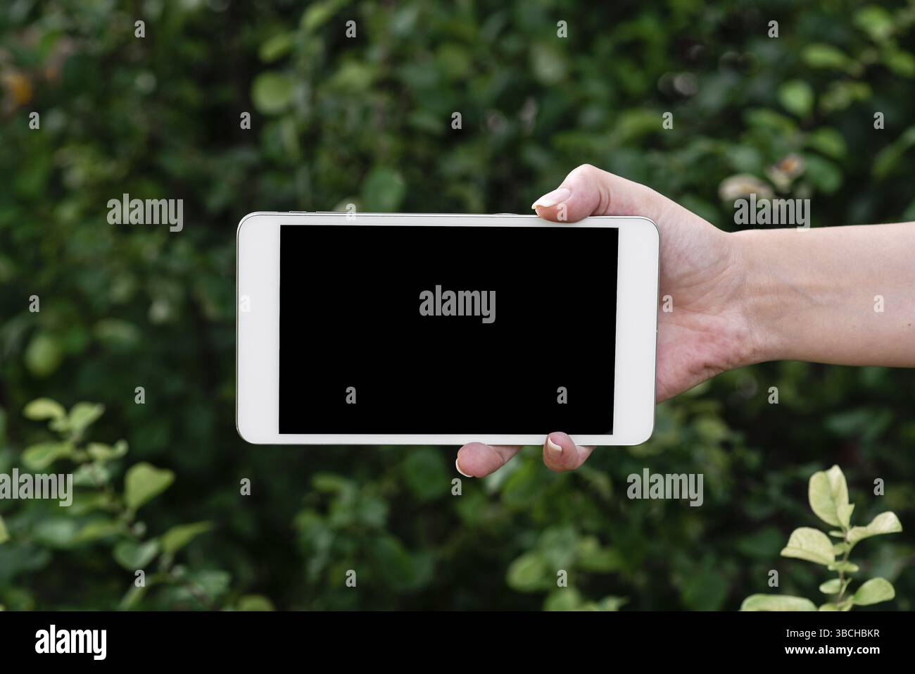 Voice And Video Calling Capabilities, Connecting People Together Stock ...