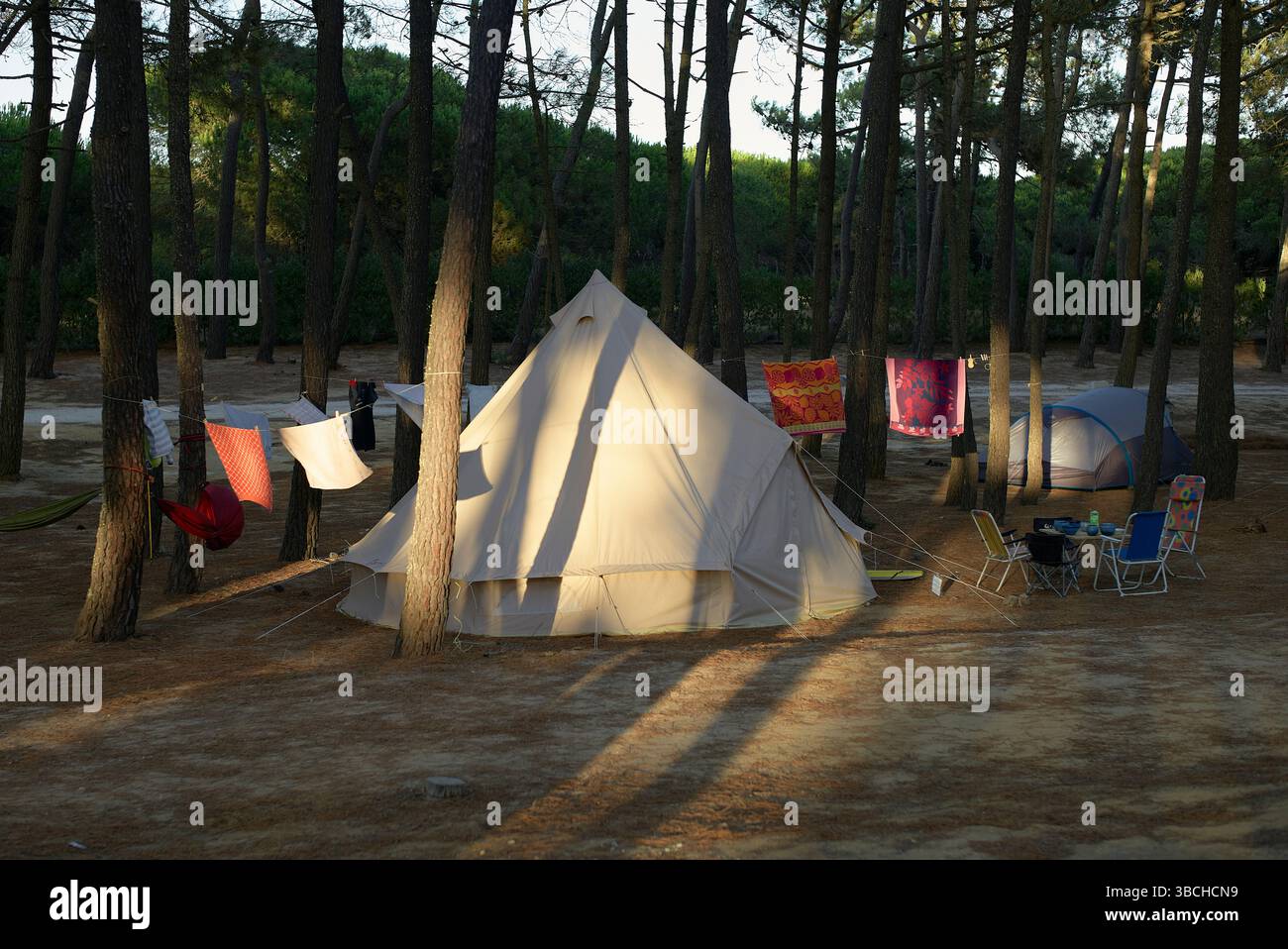 A cozy campsite with two tents surrounded by tall trees and clothes ...