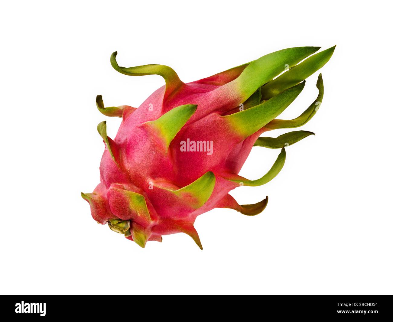 Pitaya. Ripe dragon fruit or pitahaya isolated on white background with ...