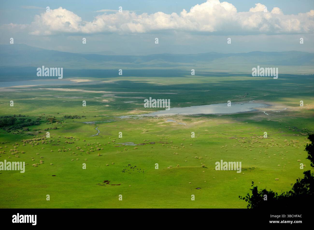 Aerial view expansive fields sky hi-res stock photography and images ...