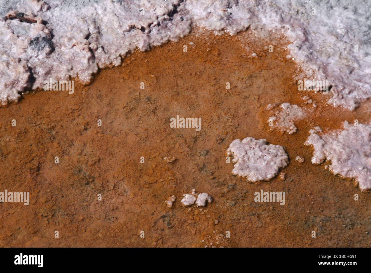 Salt deposition hi-res stock photography and images - Alamy