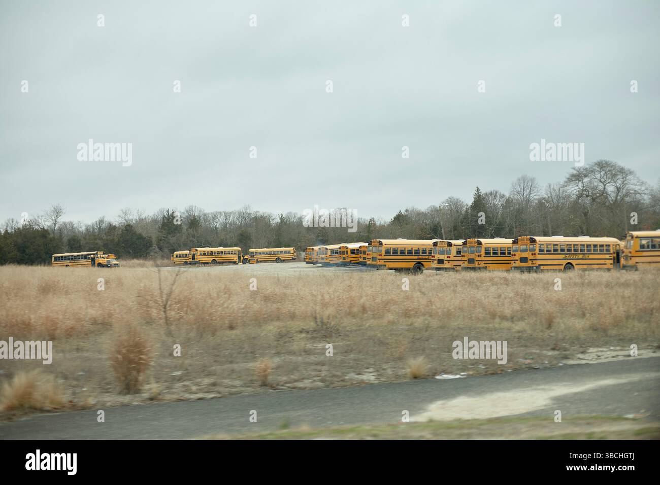 Yellow school buses parked in a grassy field under a cloudy sky. Road ...