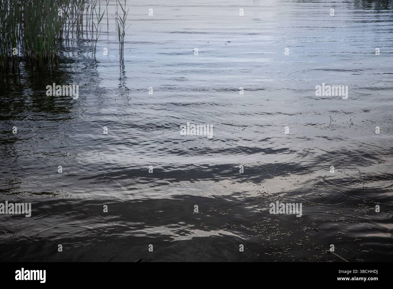 Raindrops creating circular ripples hi-res stock photography and images ...