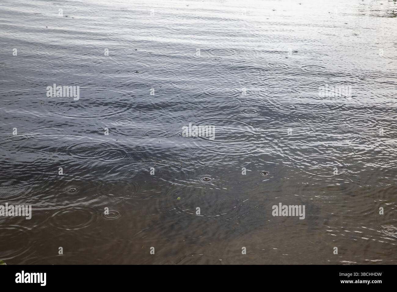 Raindrops falling on water surface, creating circular ripples Stock ...