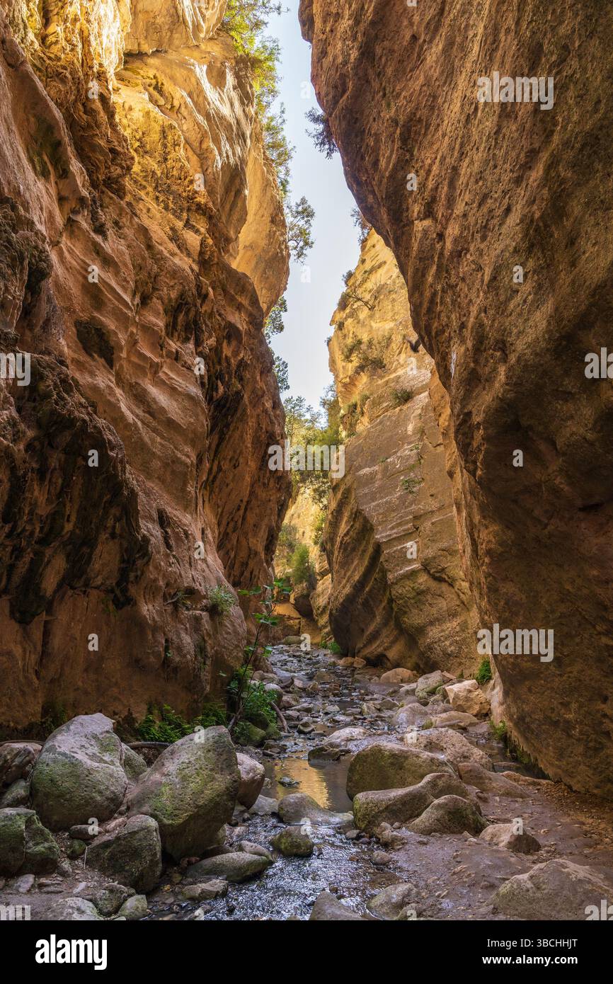 Avakas Gorge in Cyprus natural canyon with limestone cliffs and narrow ...