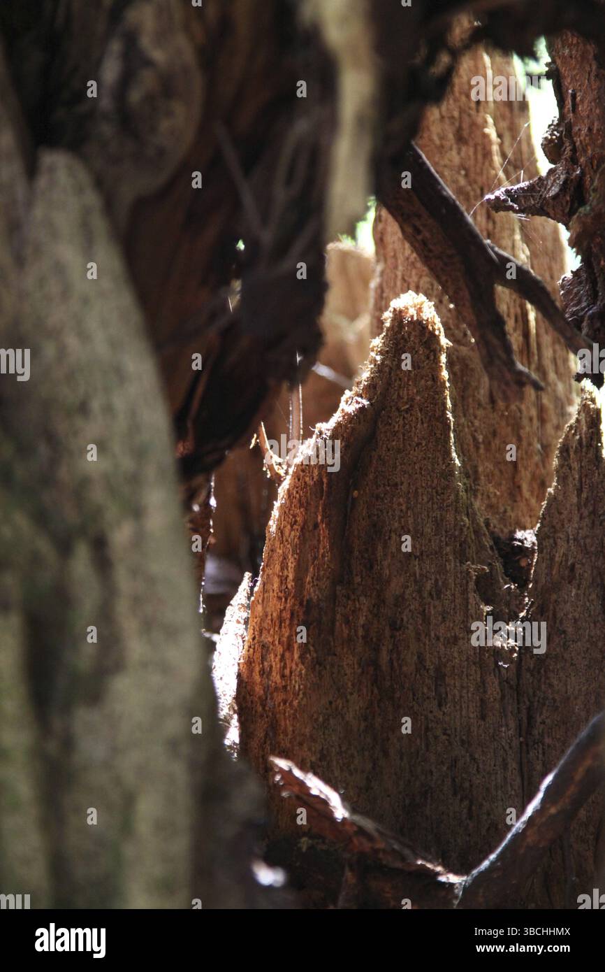 Broken off point hi-res stock photography and images - Alamy