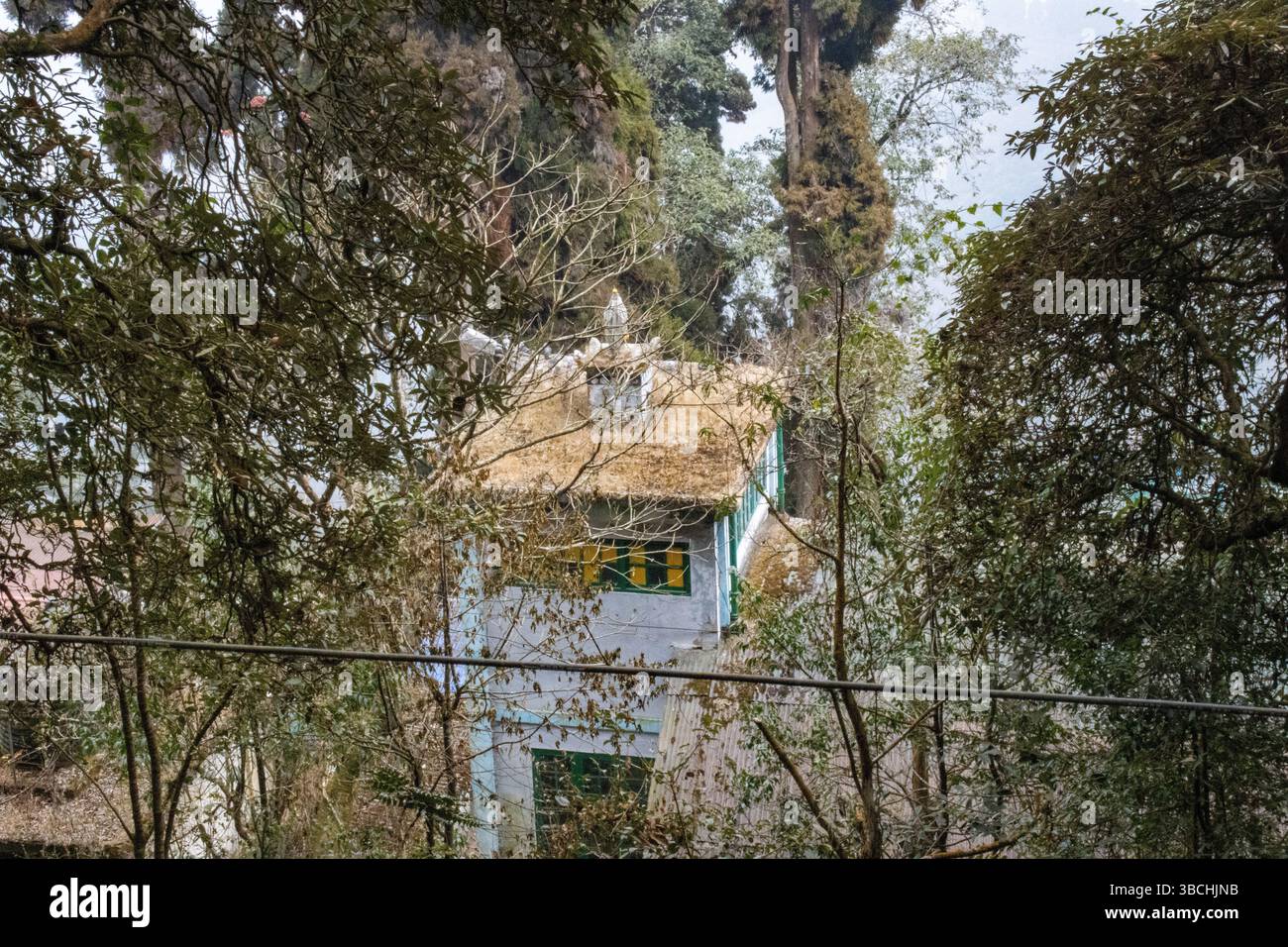 building seen through the trees in Darjeeling, India Stock Photo - Alamy
