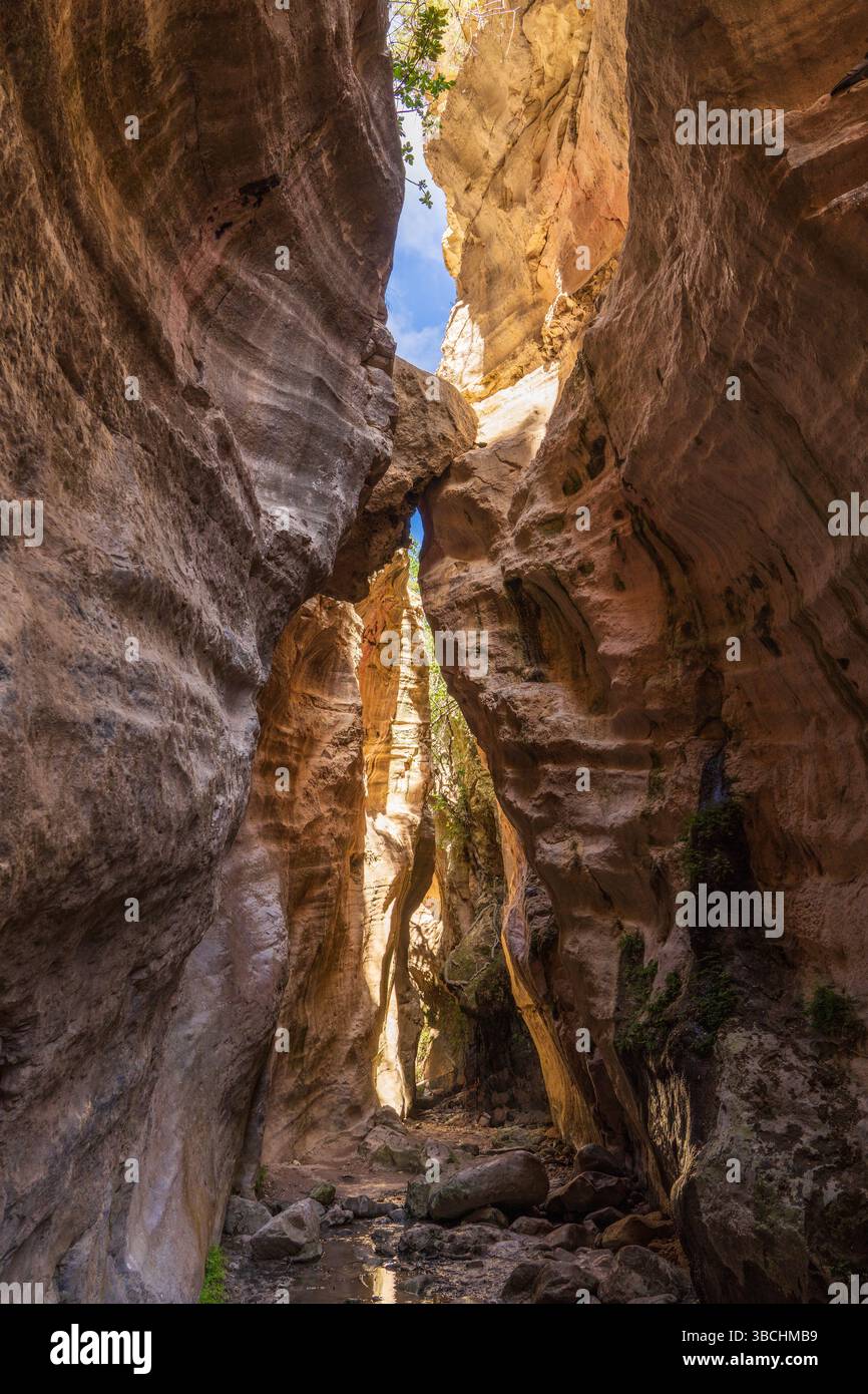 Stunning views of Avakas Gorge, natural attraction and popular tourist ...