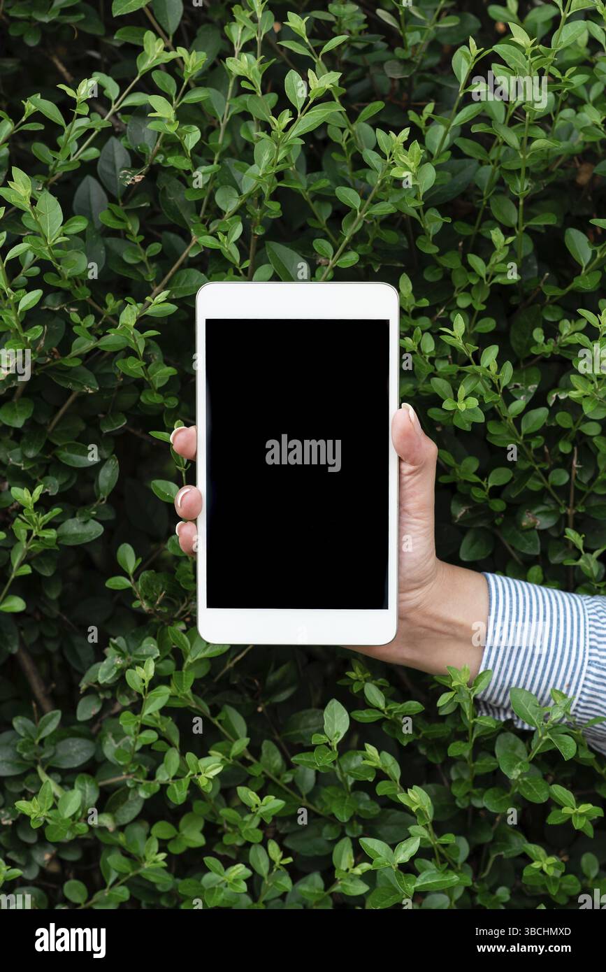 Voice And Video Calling Capabilities, Connecting People Together Stock ...