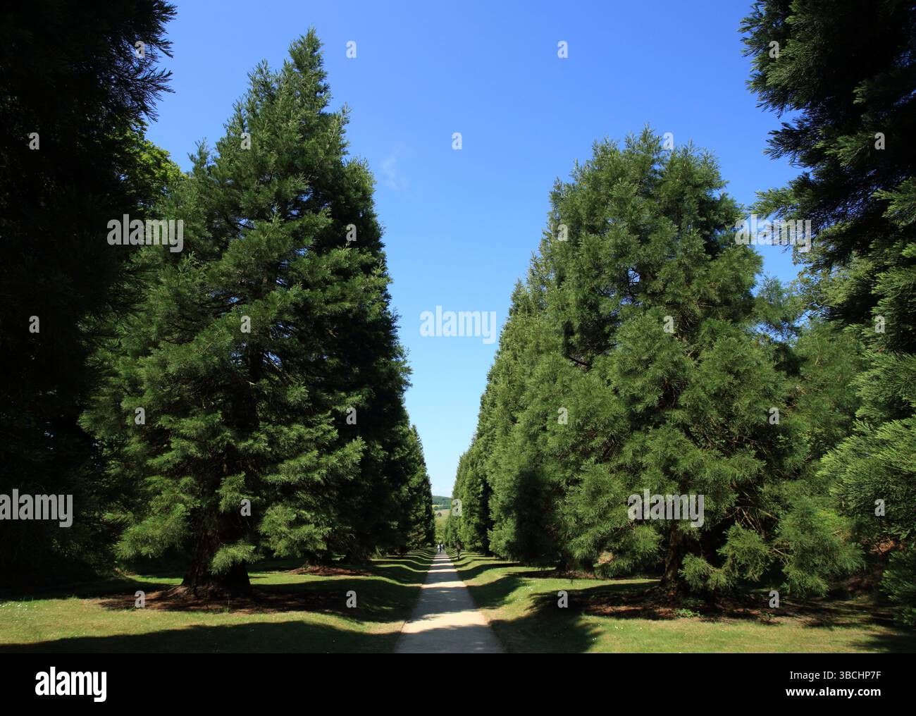 Biddulph grange garden hi-res stock photography and images - Alamy
