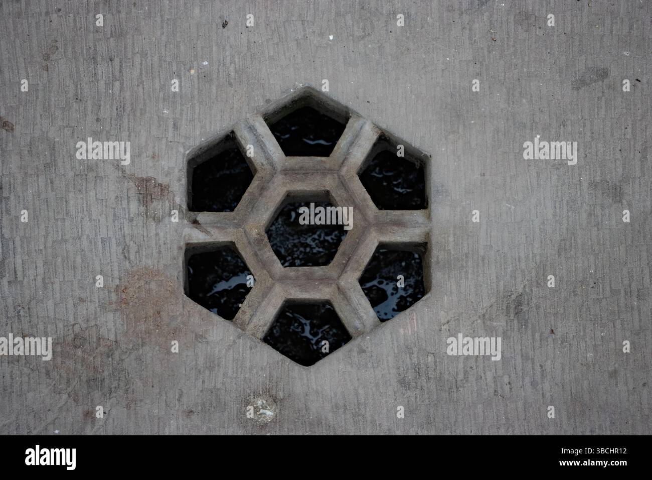 typical white marble vent in palaces and monuments in North West India ...