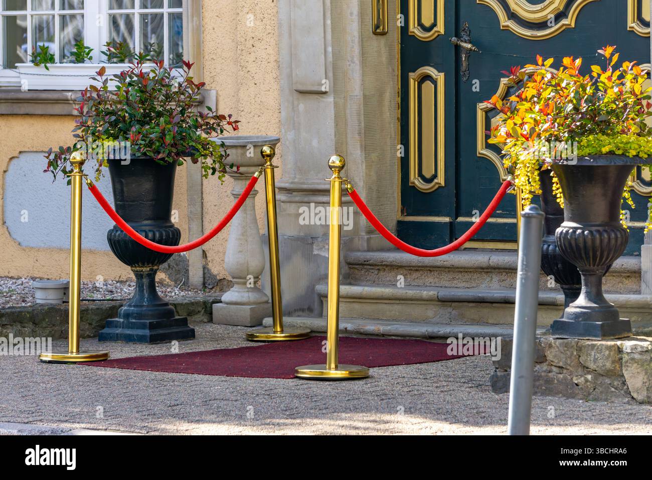 Elegant entrance with red carpet and gold stanchions leading to an ...