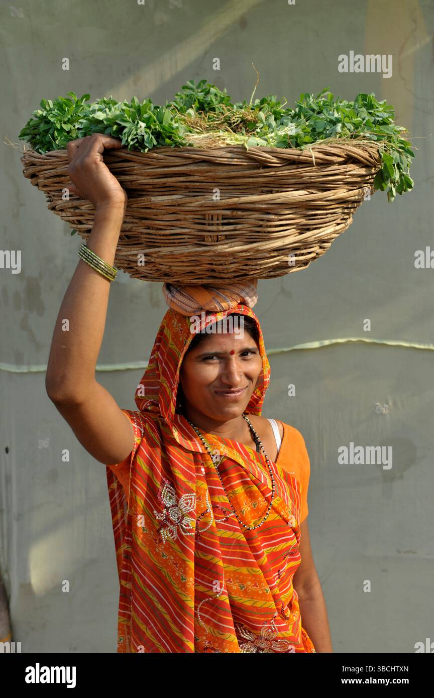 Indian Woman carrying food on her head,Asia,India,Southwestern Madhya ...