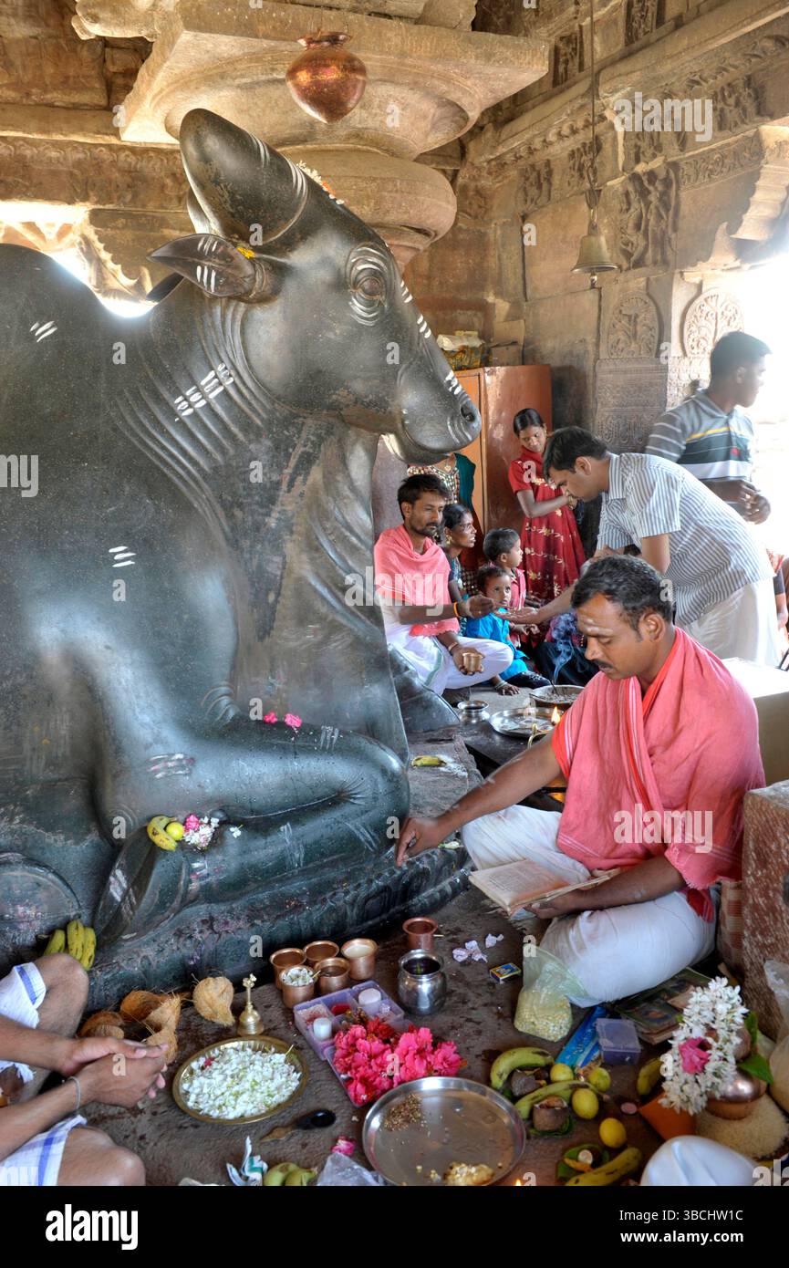 Ornamented monolithic statue of the Nandi Bull.Nandi is the vahana ...