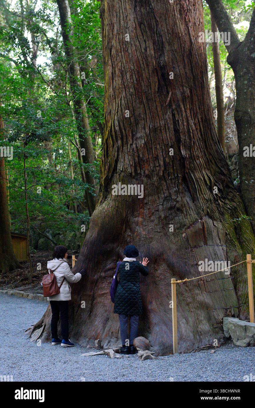 People praying in front of Tree of God,Ise,Japan,Asia Stock Photo - Alamy