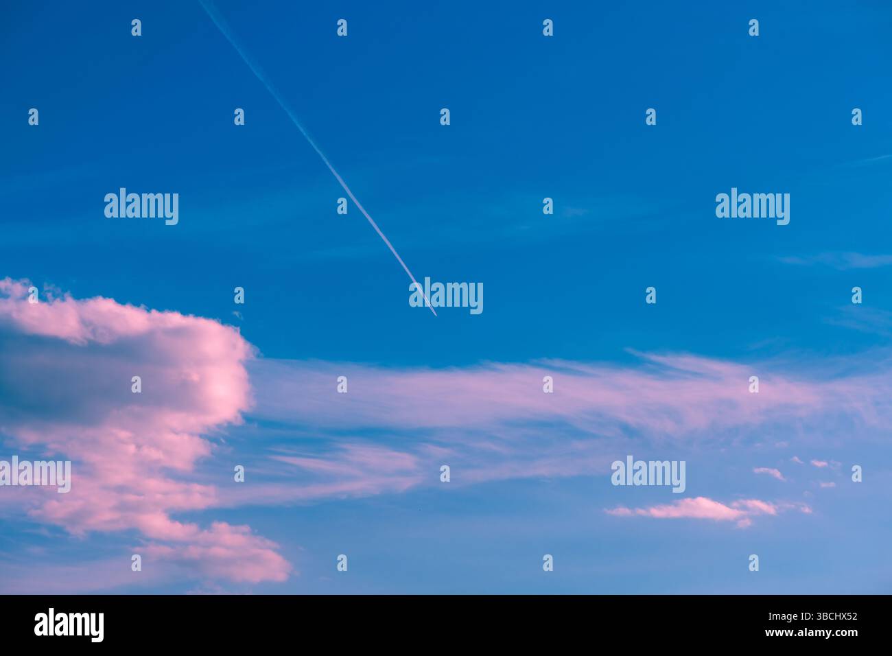 White contrail from a high-altitude airplane flying in a vibrant blue ...