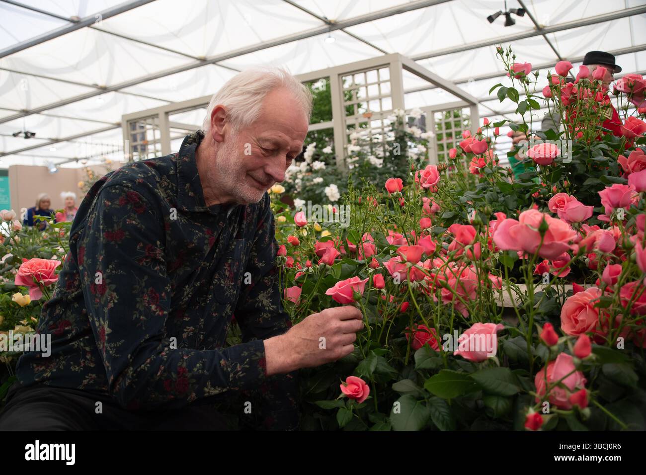 Chelsea, London, UK. 19th May, 2025. Rose grower Philip Harkness ...