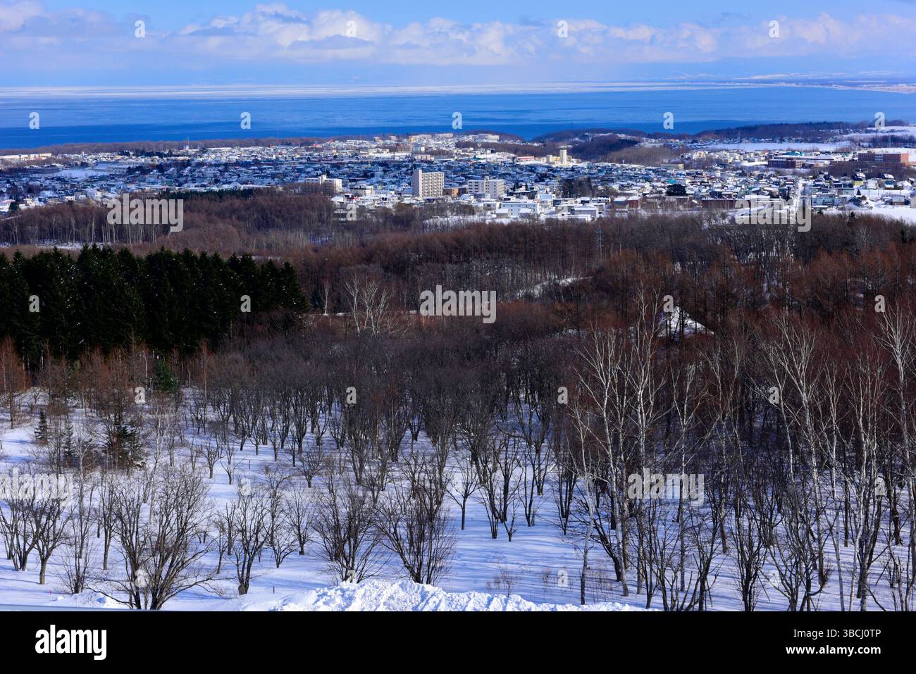 Panoramic view from Okhotsk Ryuhyo museum tower,Abashiri,Hokkaido,Japan ...