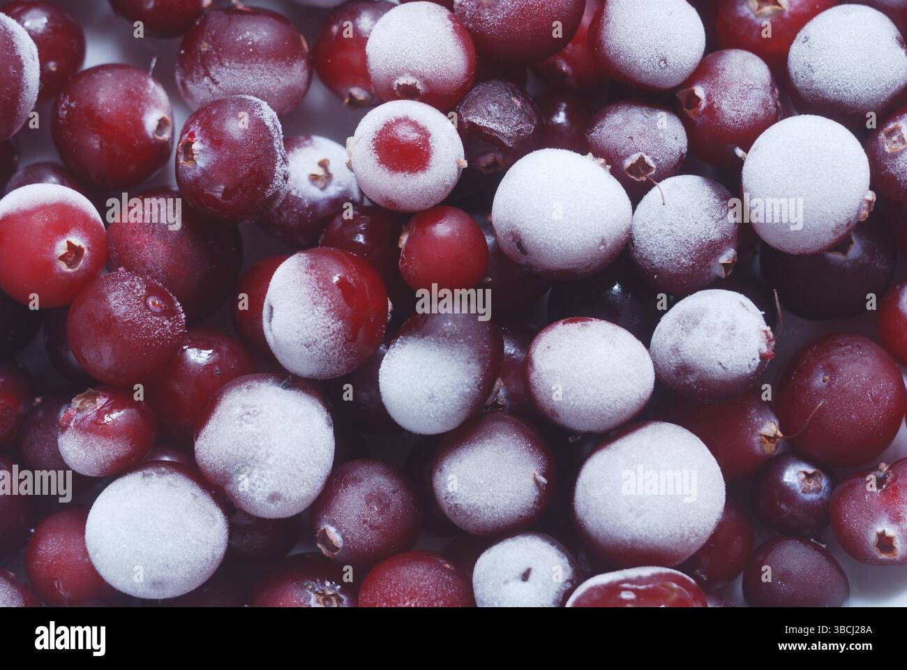 Red frozen cranberries full frame, background, horizontal Stock Photo ...