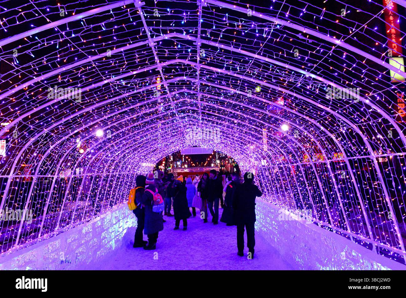 Ice sculpture at Sapporo Snow Festival,Hokkaido,Japan,Asia Stock Photo ...