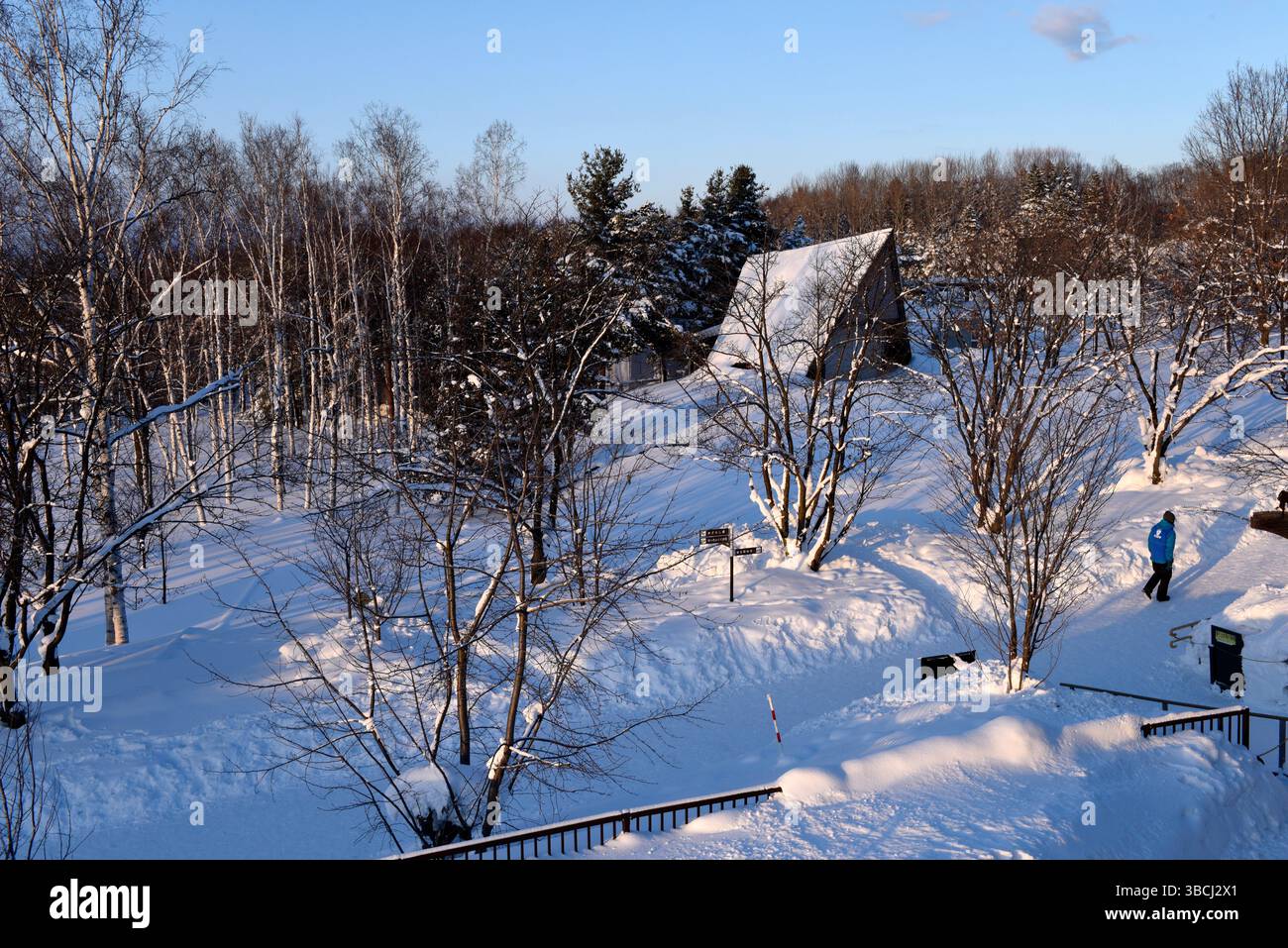 Winter landscape in Asahikawa,Hokkaido,Japan,Asia Stock Photo - Alamy