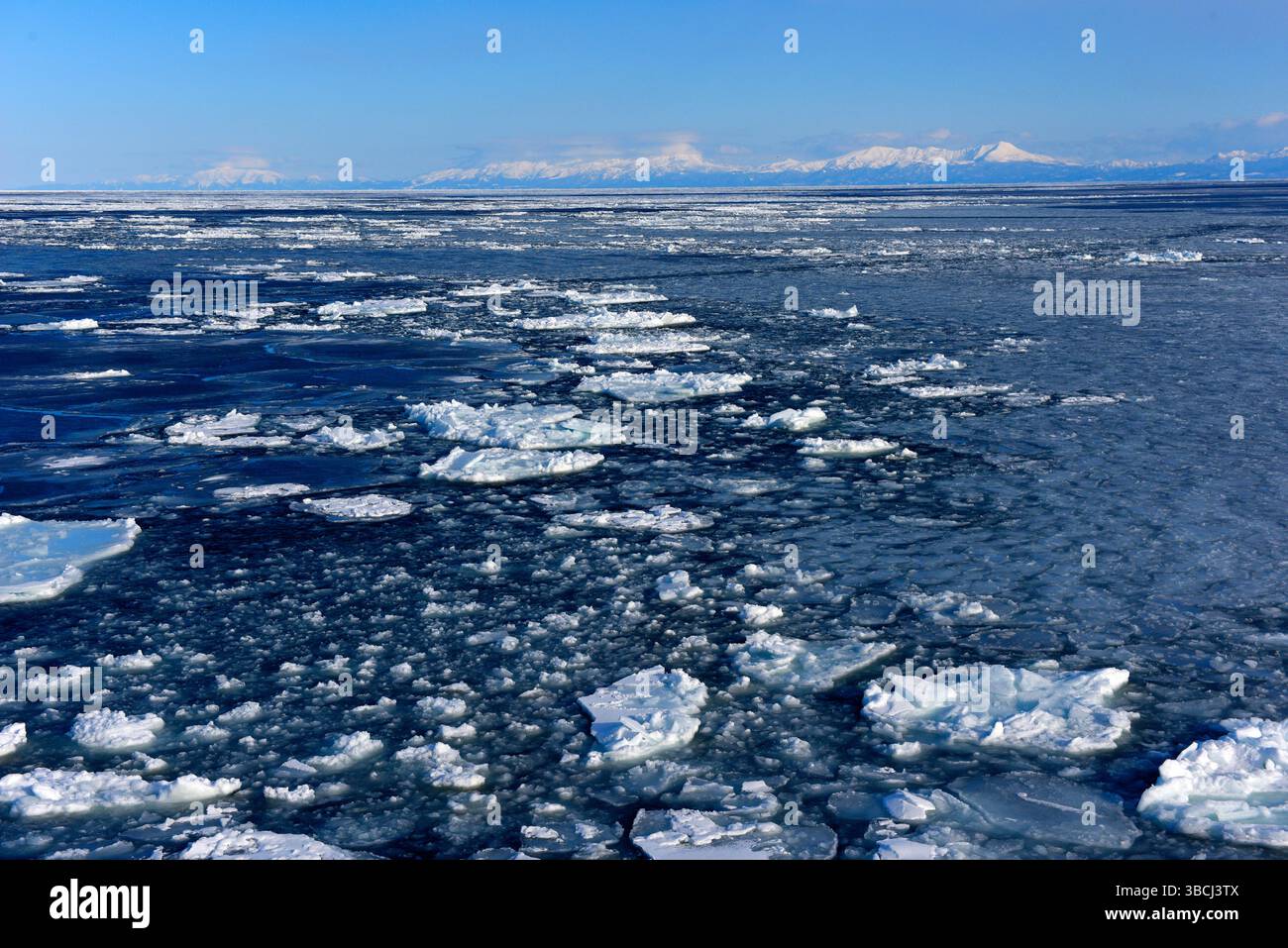 Abashiri ice drift in cold ocean in Hokkaido,Japan,Asia Stock Photo - Alamy