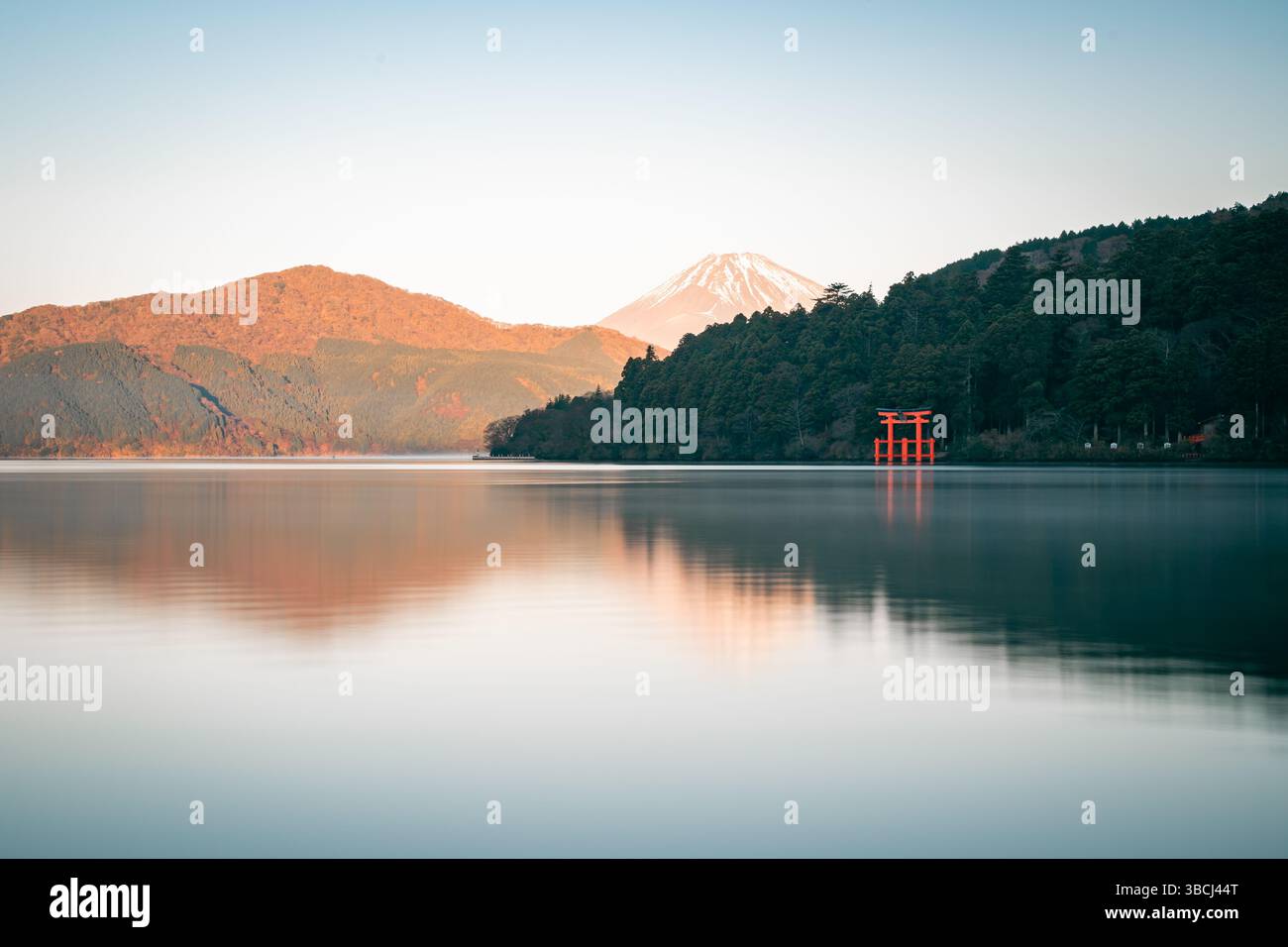 Scenic view of Mount Fuji behind lush forest and iconic red torii gate ...