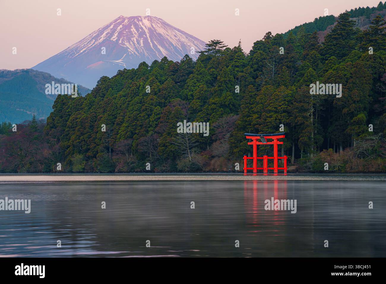 Scenic view of Mount Fuji behind lush forest and iconic red torii gate ...