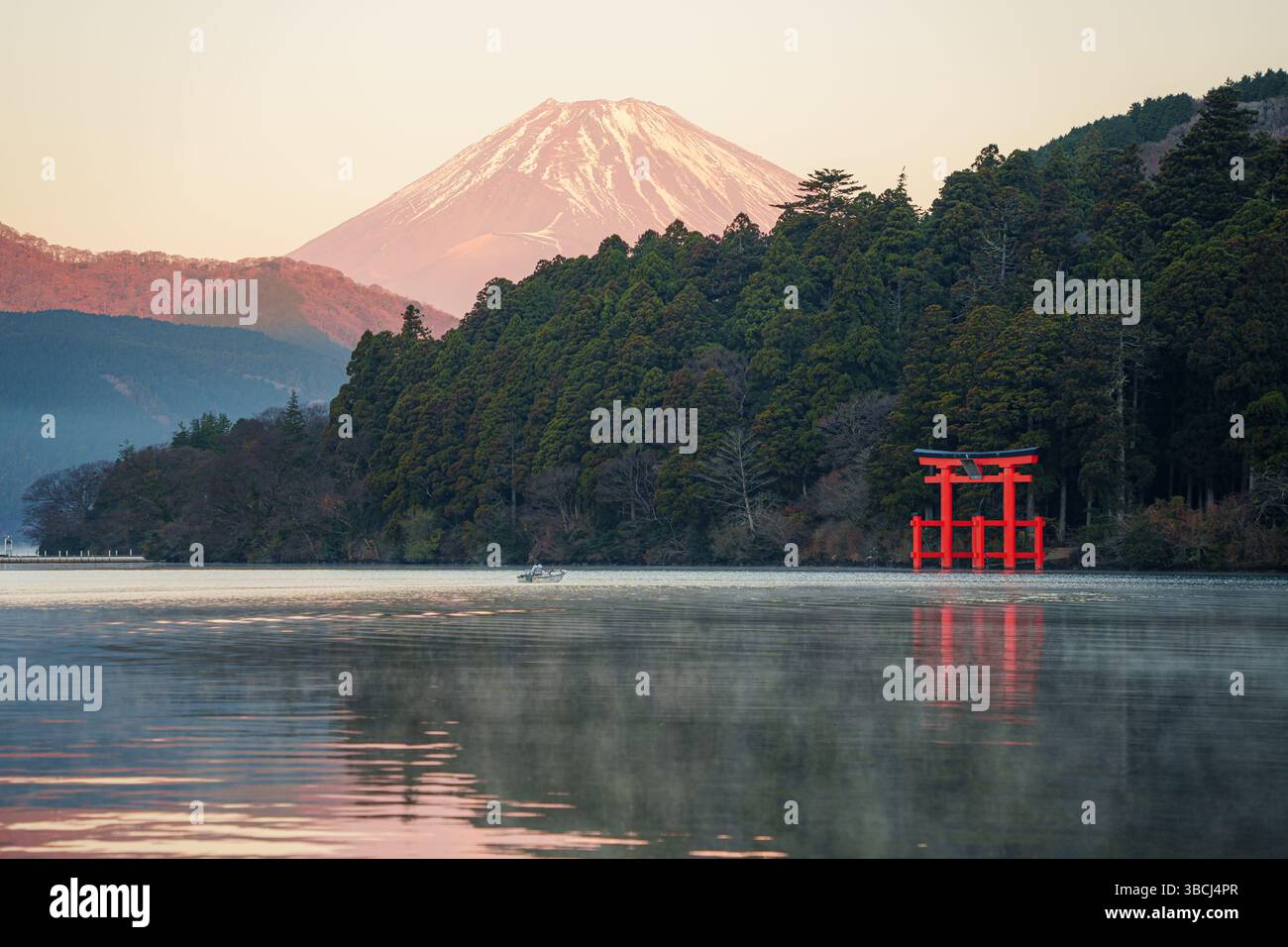 Scenic view of Mount Fuji behind lush forest and iconic red torii gate ...