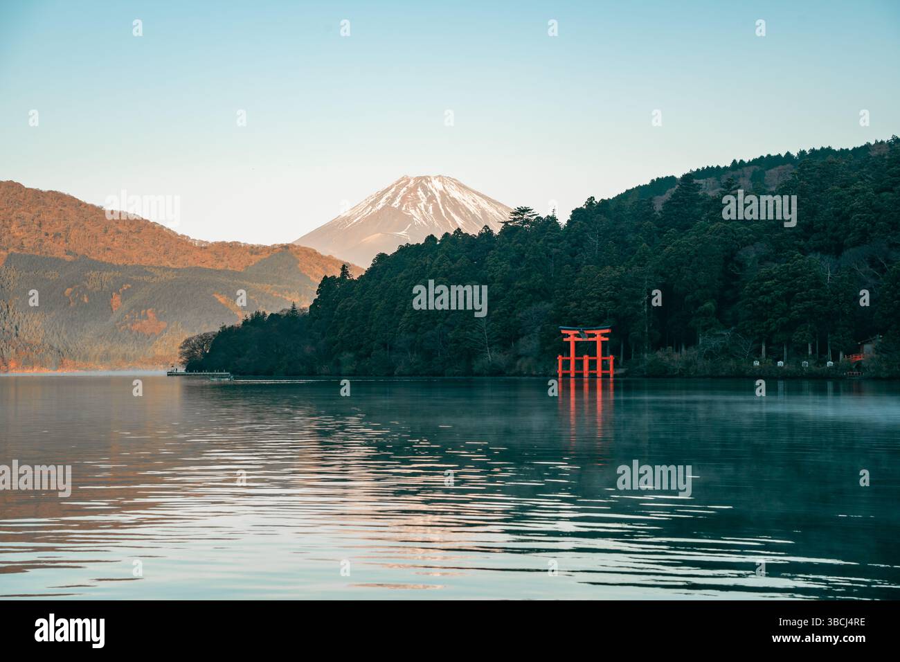 Scenic view of Mount Fuji behind lush forest and iconic red torii gate ...