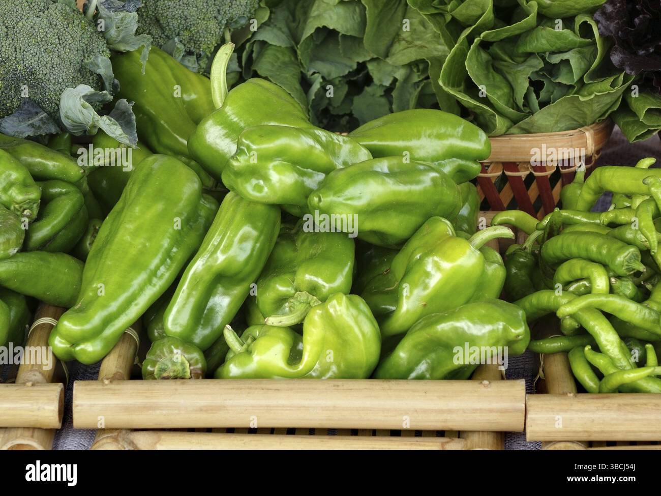 Organic green peppers, chilis and other vegetables Stock Photo - Alamy