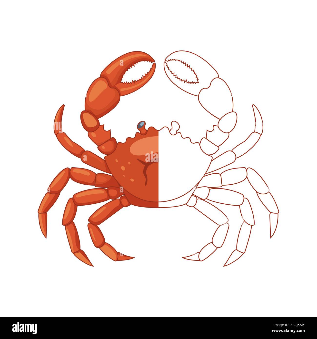 Aquatic life coloring Cut Out Stock Images & Pictures - Alamy