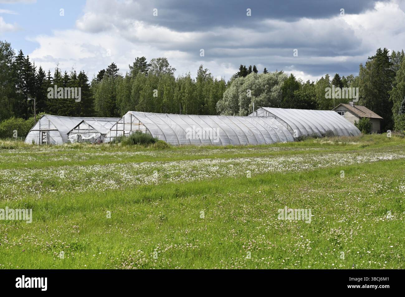 Agricultural greenhouses in row hi-res stock photography and images - Alamy