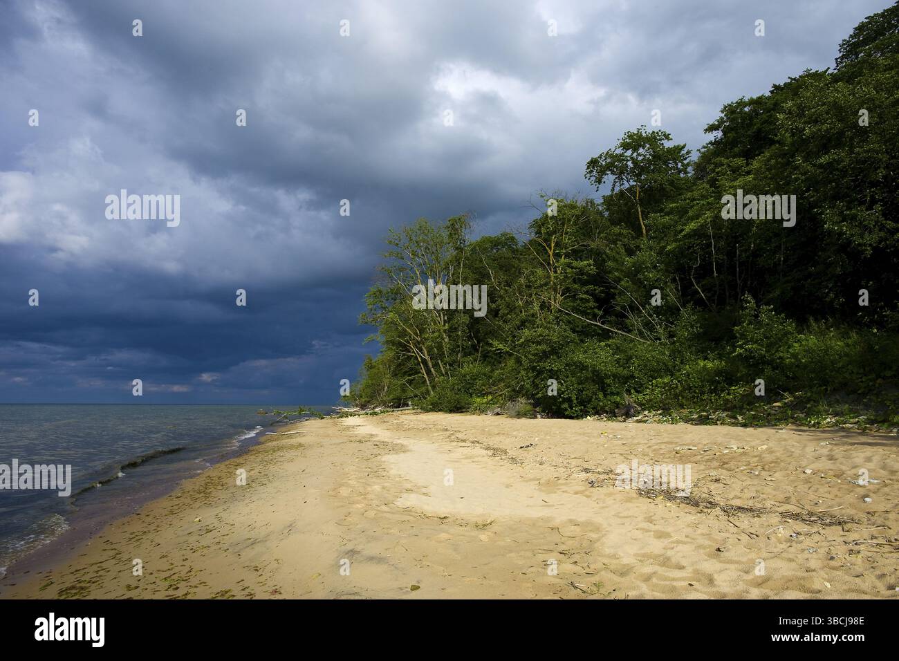 Beach on the cliffs of Saka-Ontika-Toila, Estonia, Europe Stock Photo ...