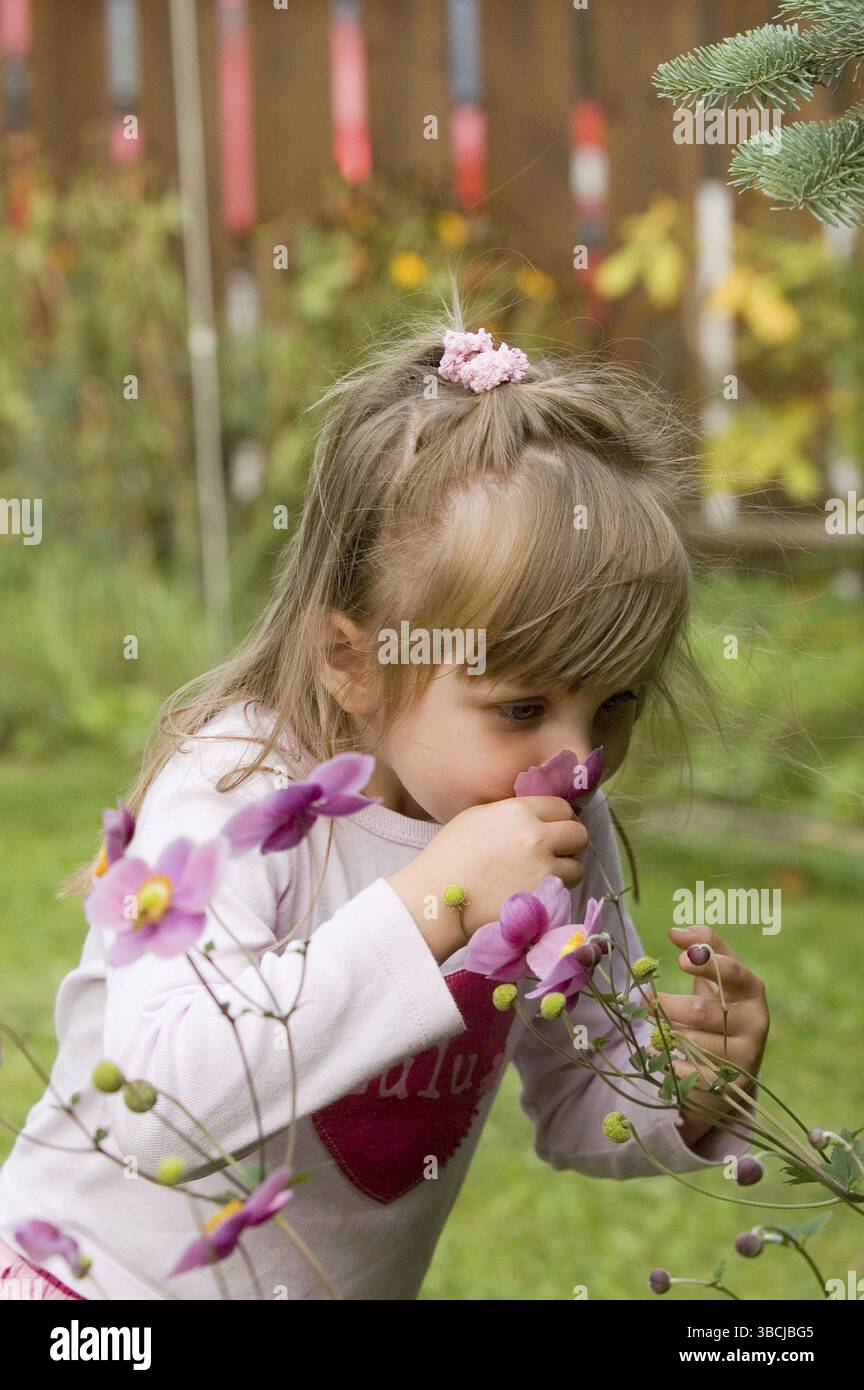 Little girl, four years old, smells flower Stock Photo - Alamy