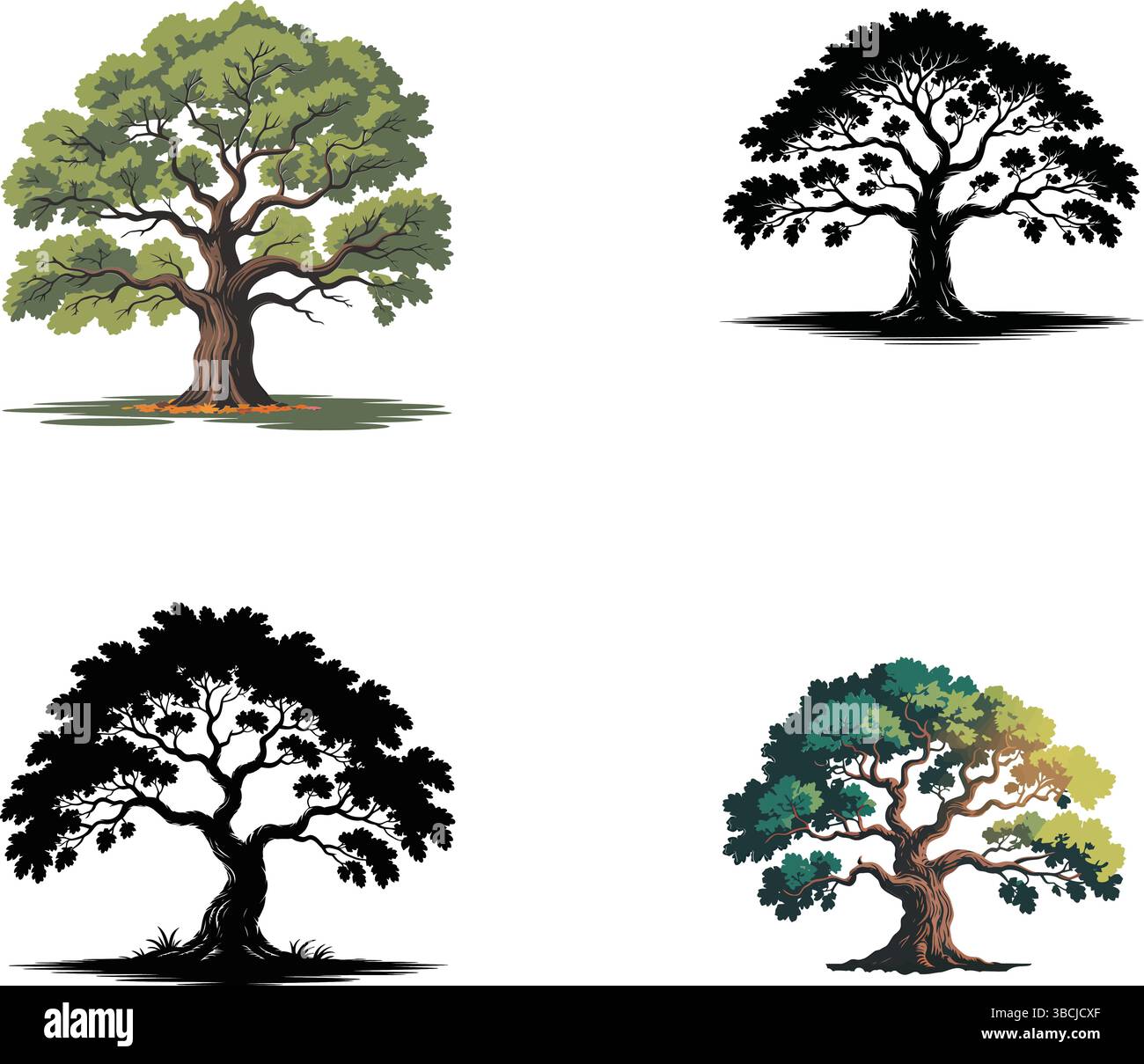 A versatile collection of vector illustrations featuring various trees ...