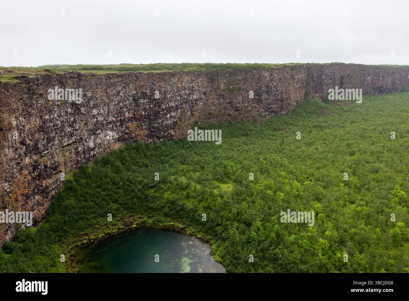 Asbyrgi canyon in north Iceland. Moody Icelandic landscape in rainy ...