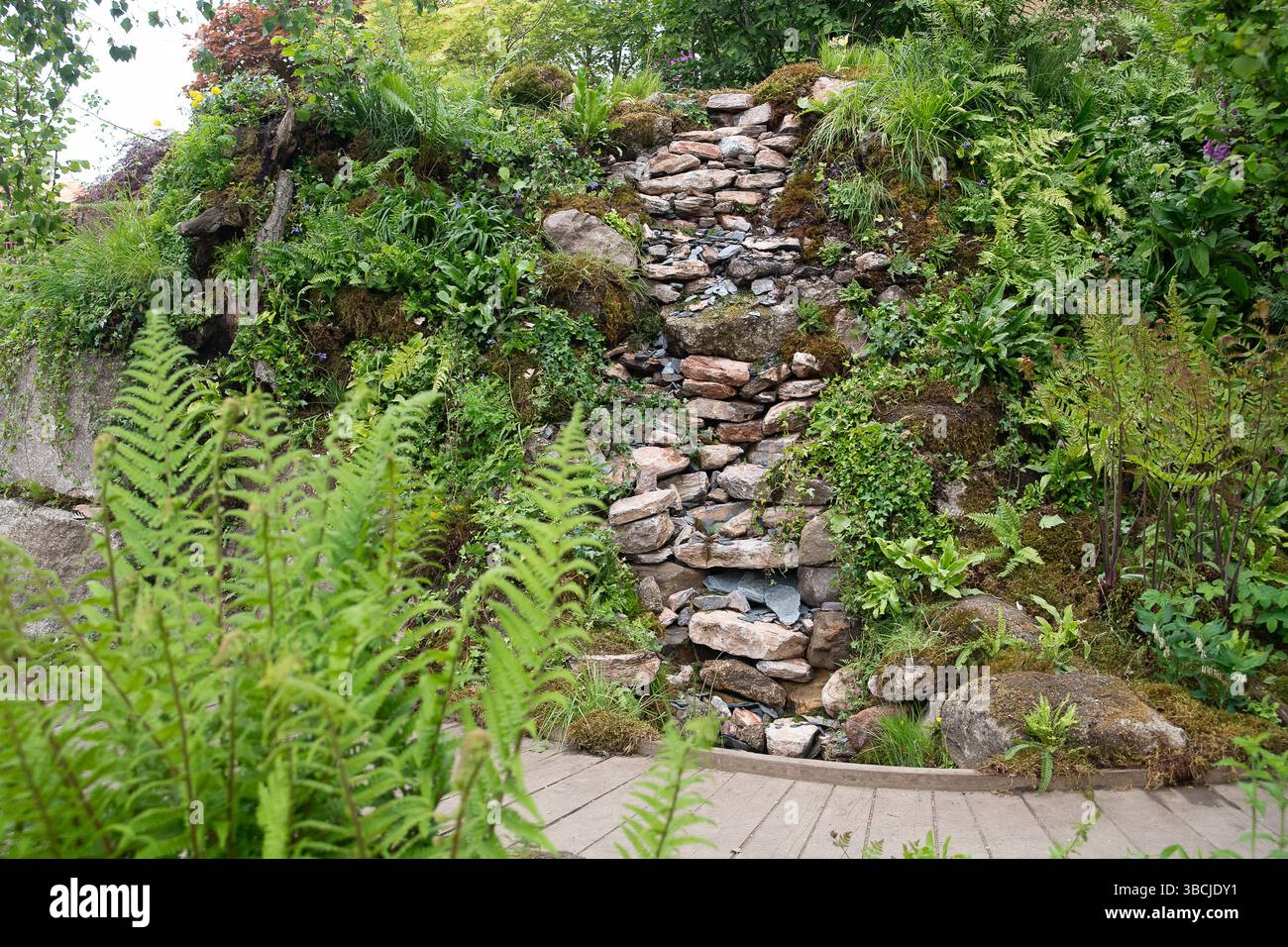 Chelsea, London, UK. 19th May, 2025. The All About Plants, Wildlife ...