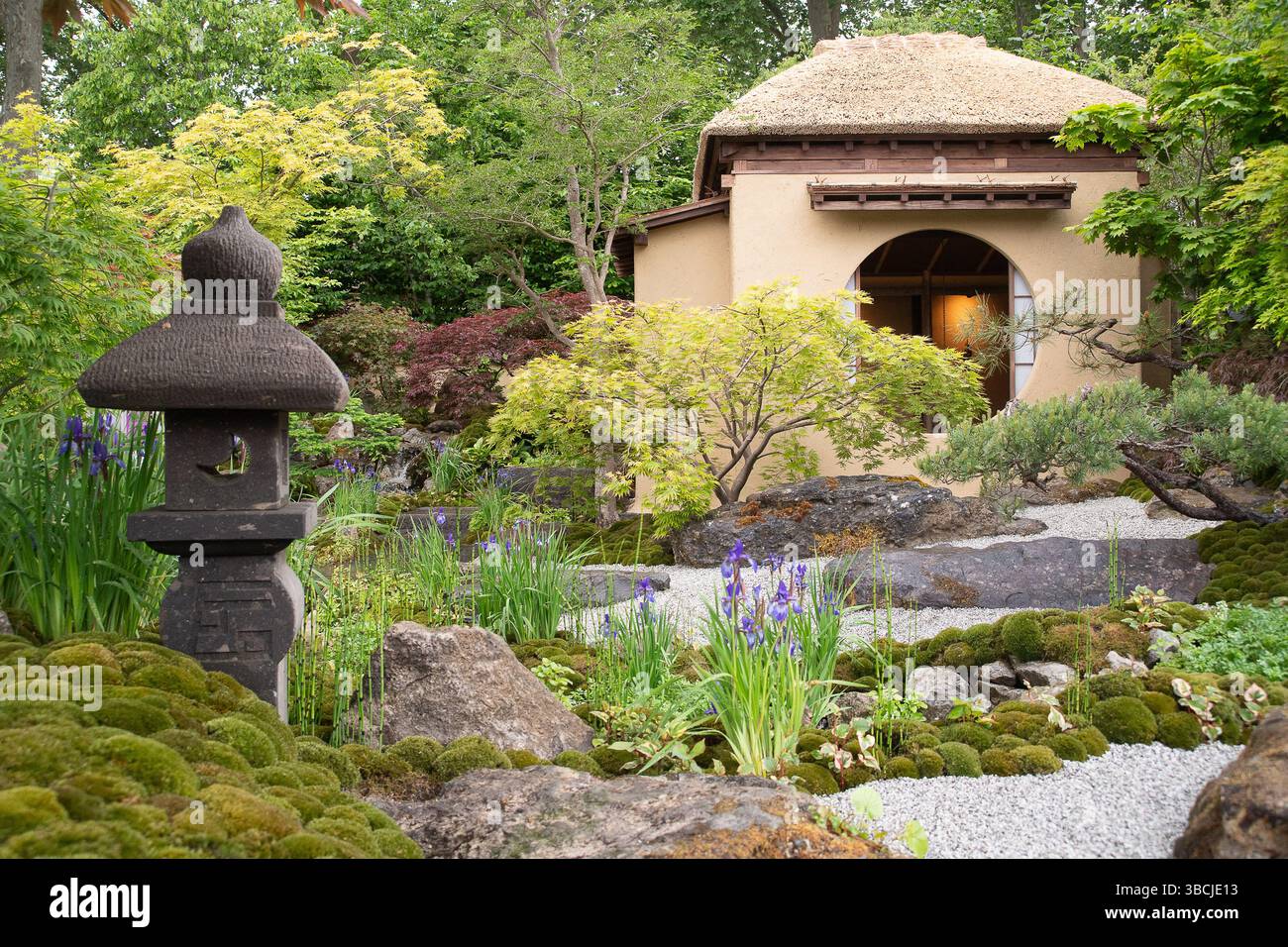 Chelsea, London, UK. 19th May, 2025. The Cha no niwa - Japanese Tea ...